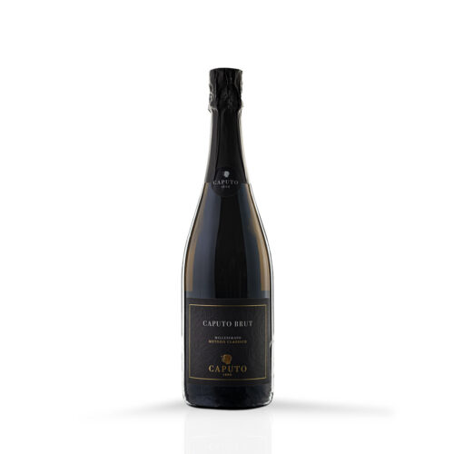 Brut Metodo Classico Millesimato - VIDOC